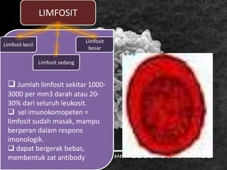 Jaringan Darah (Blood Tissue) | PPTX