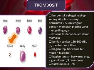 Jaringan Darah (Blood Tissue) | PPTX