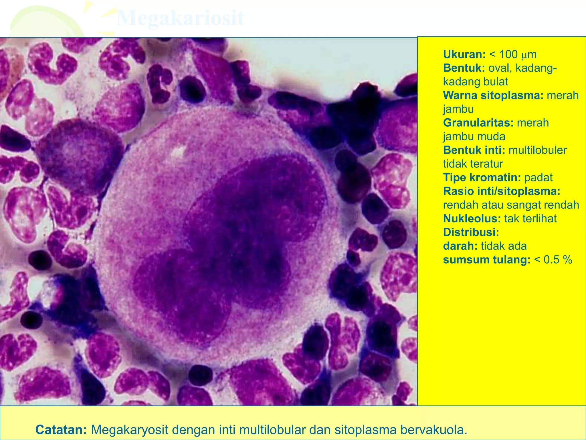 DARAH LENGKAP & bmp.pdf