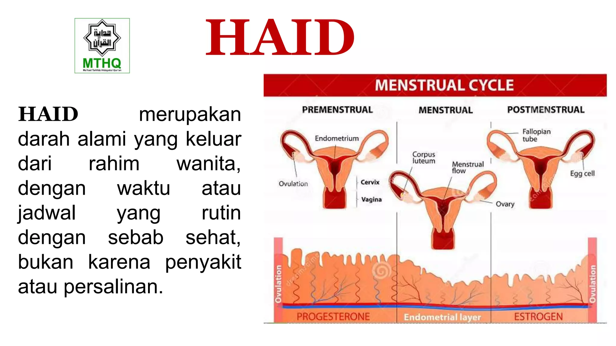 Darah Wanita; Haid, istihadhoh, Nifas.pptx