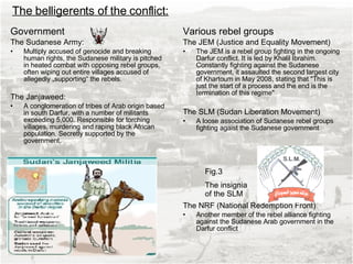 Darfur Case Study | PPT