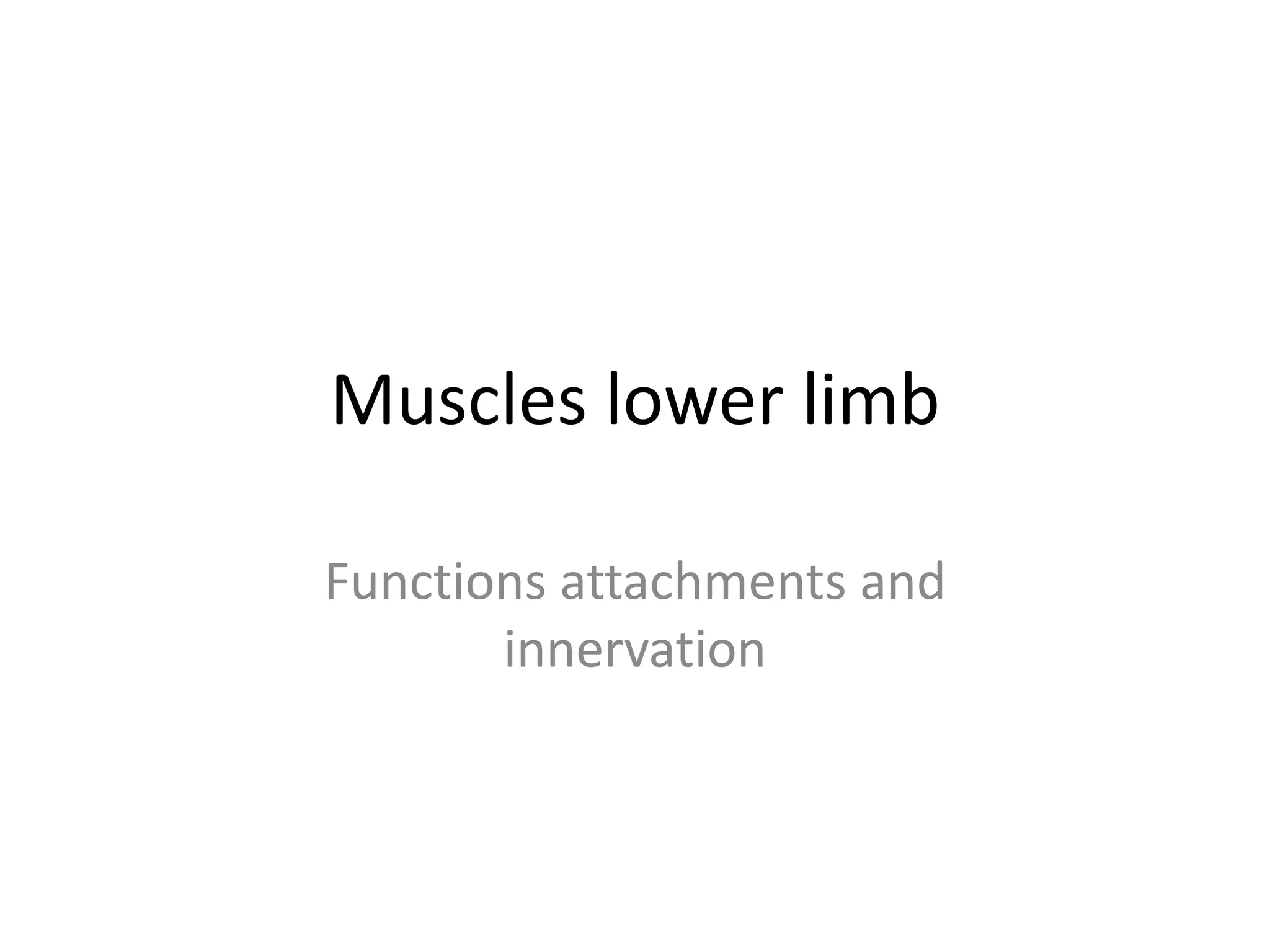 Daria PNG Lower limb muscles ATTACHMENTS AND INNERVATION.ppt