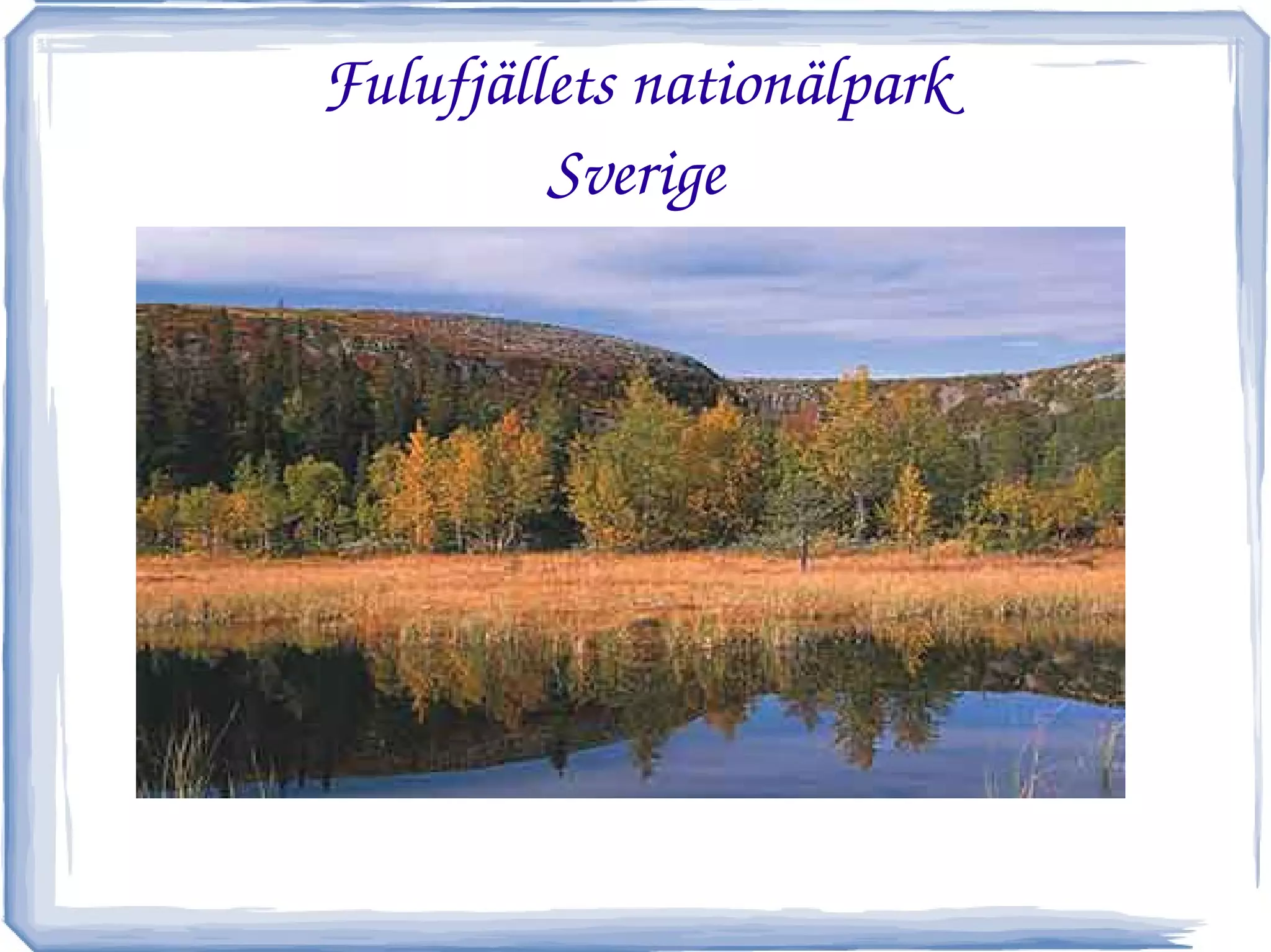 Daria presentation1 | PPT