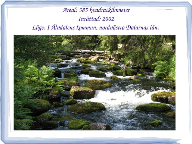 Daria presentation1 | PPT