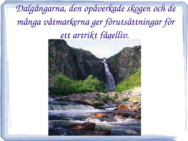 Daria presentation1 | PPT