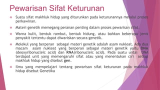 Daring 5 presentasi pewarisan sifat keturunan | PPT