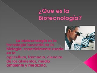 Darinka kaina 8ªa | PPTX