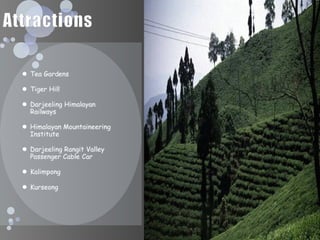 Darjeeling | PPT