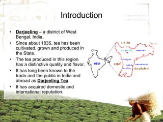 Darjeeling Tea | PPT