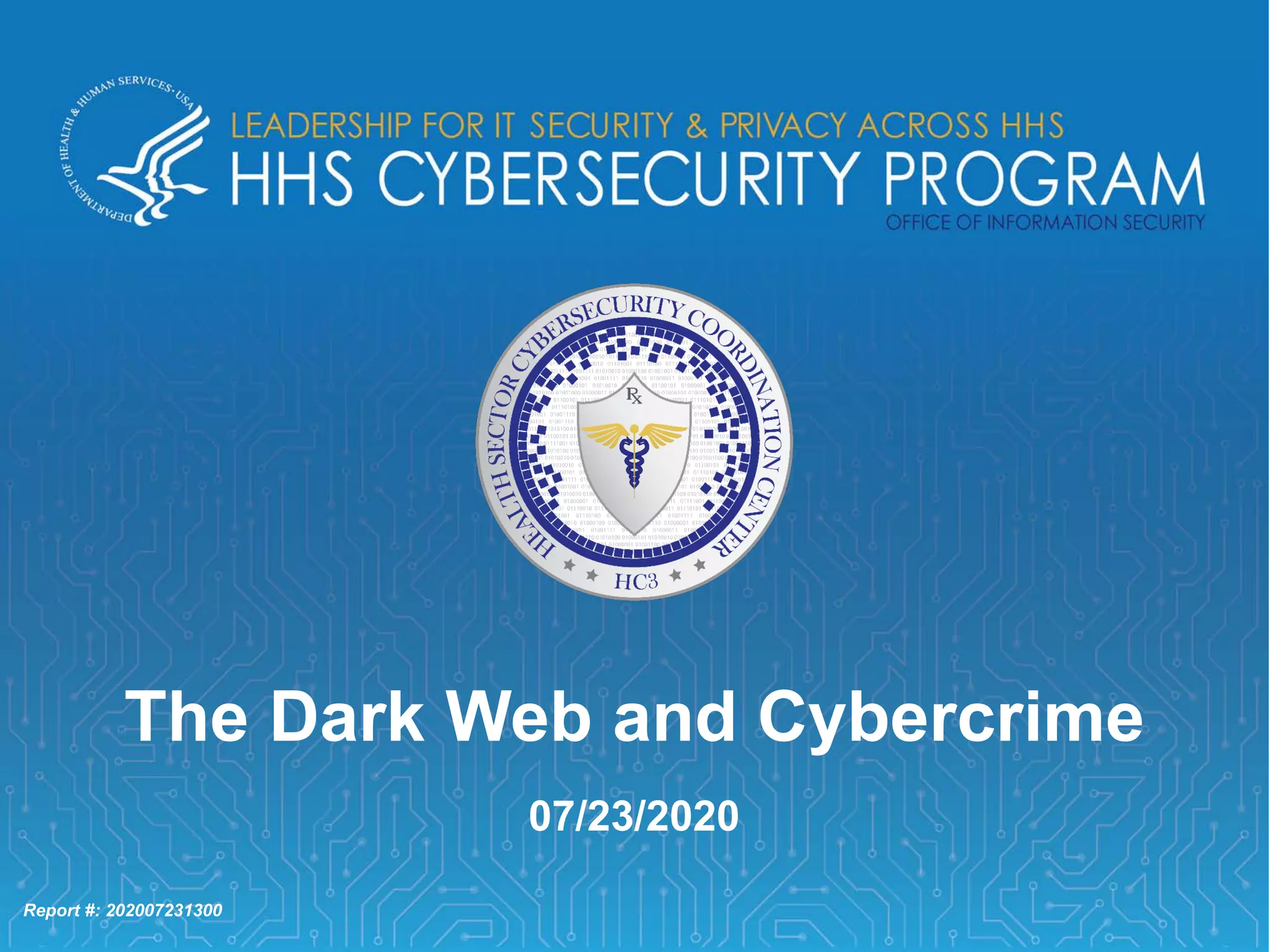 dark-web-and-cybercrime.pdf