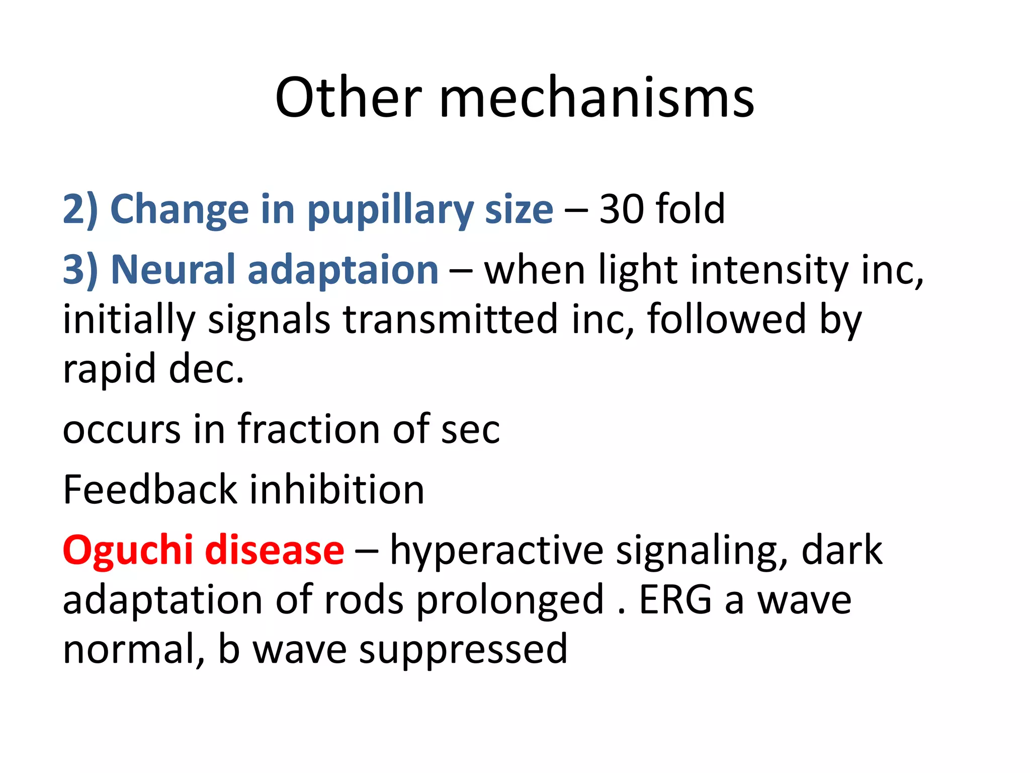 Dark adaptation | PPTX