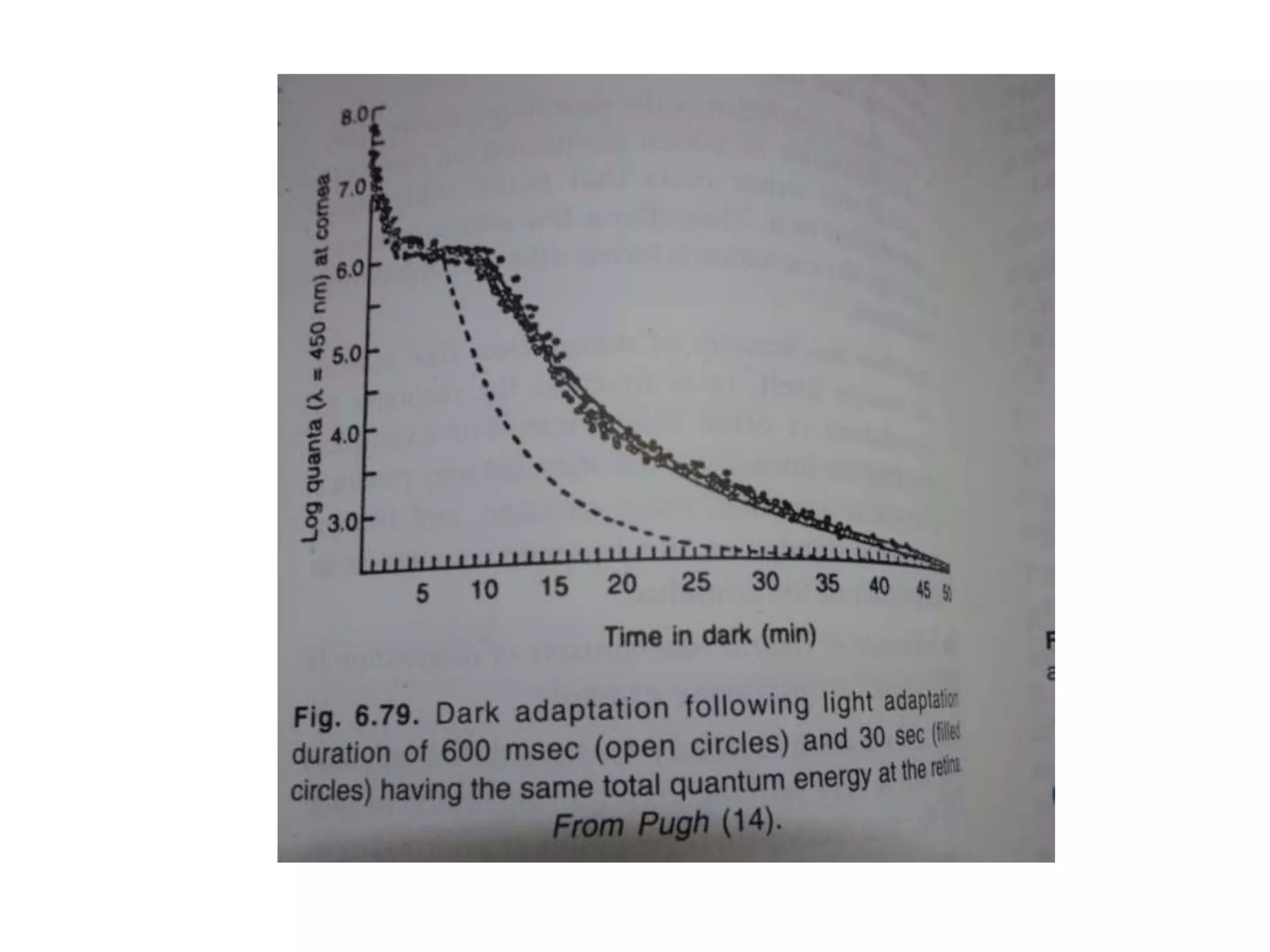 Dark adaptation | PPTX