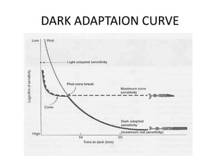 Dark adaptation | PPTX