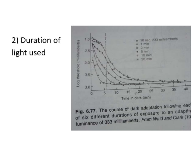 Dark adaptation | PPTX | Eye and Vision Conditions | Diseases and ...