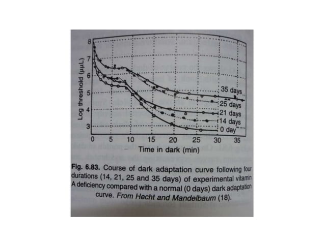 Dark adaptation | PPTX | Eye and Vision Conditions | Diseases and ...