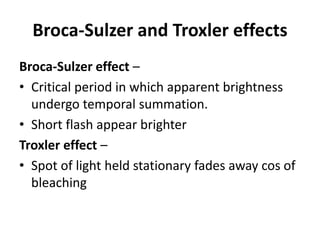 Dark adaptation | PPTX | Eye and Vision Conditions | Diseases and ...