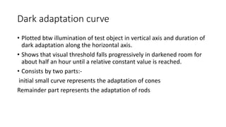 Dark adaptation.pptx