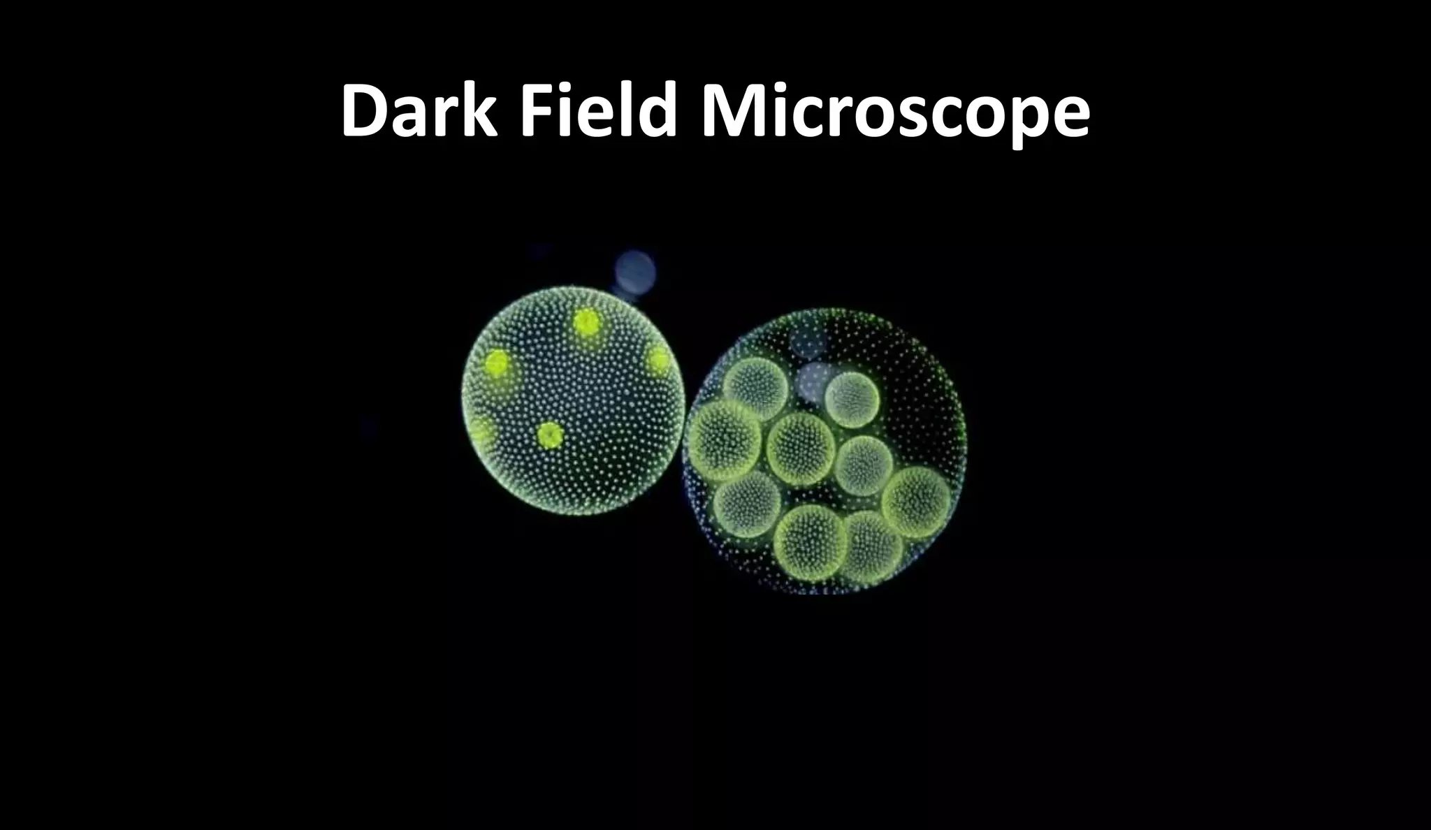 Dark field and Phase Contrast Microscope | PPTX