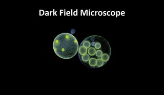Dark field and Phase Contrast Microscope | PPTX