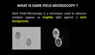 Dark field and Phase Contrast Microscope | PPTX