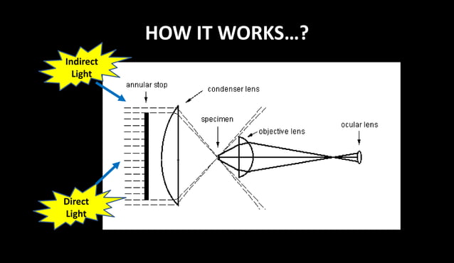 Dark field and Phase Contrast Microscope | PPTX