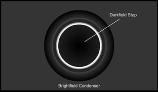Dark field and Phase Contrast Microscope | PPTX