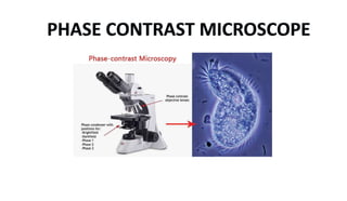 Dark field and Phase Contrast Microscope | PPTX