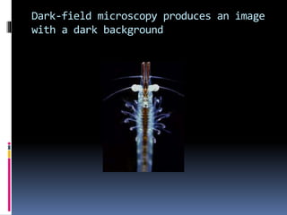 Dark field microscope | PPTX