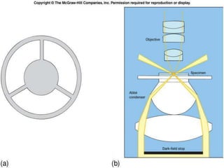 darkfield microscope.ppt