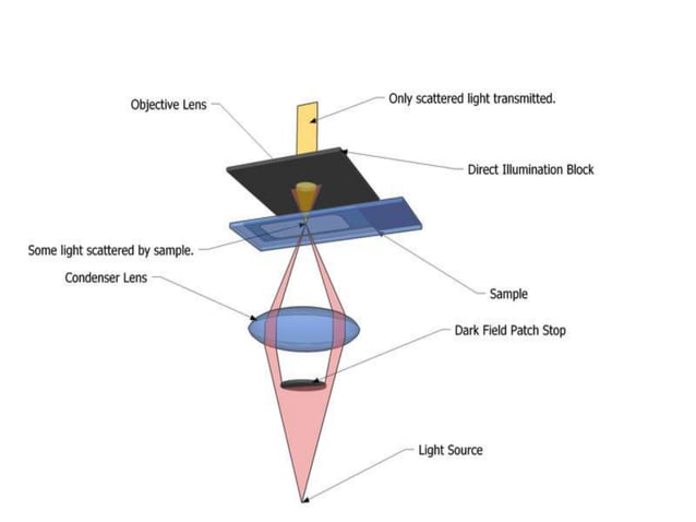 darkfield microscope.ppt