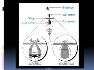 Darkfieldmicroscope1 | PDF