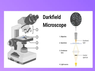 DARKFIELD MICROSCOPE presentation including all | PPTX