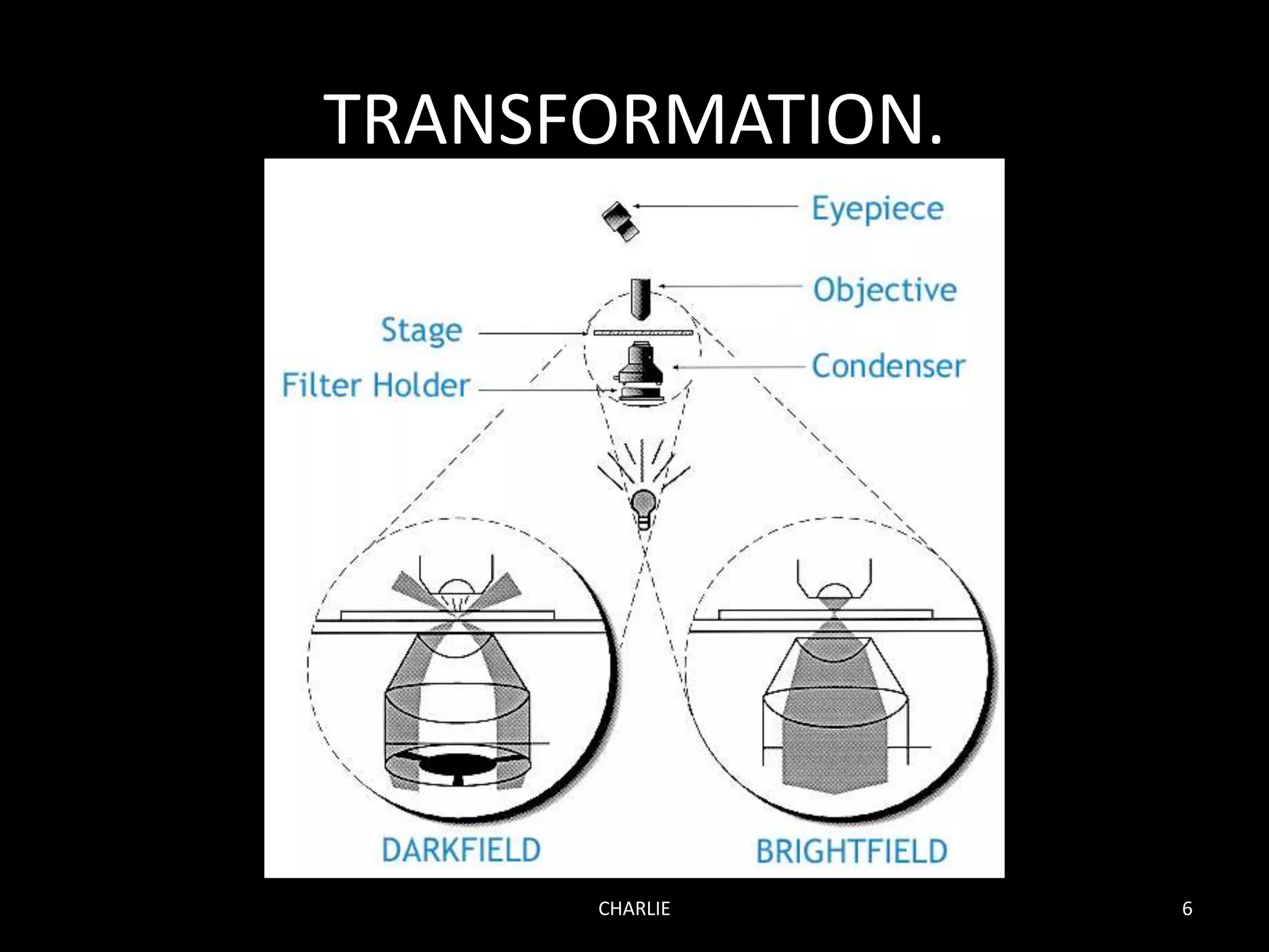 Dark field microscopy | PPT