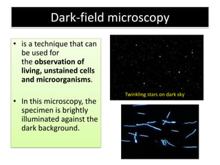 Dark field microscopy | PDF