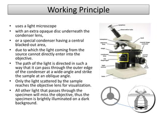 Dark field microscopy | PDF