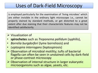 Dark Field Exam