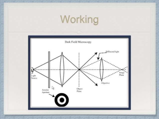 Dark field microscopy | PPTX