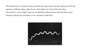 Darkfield microscopy -work and principle | PPTX