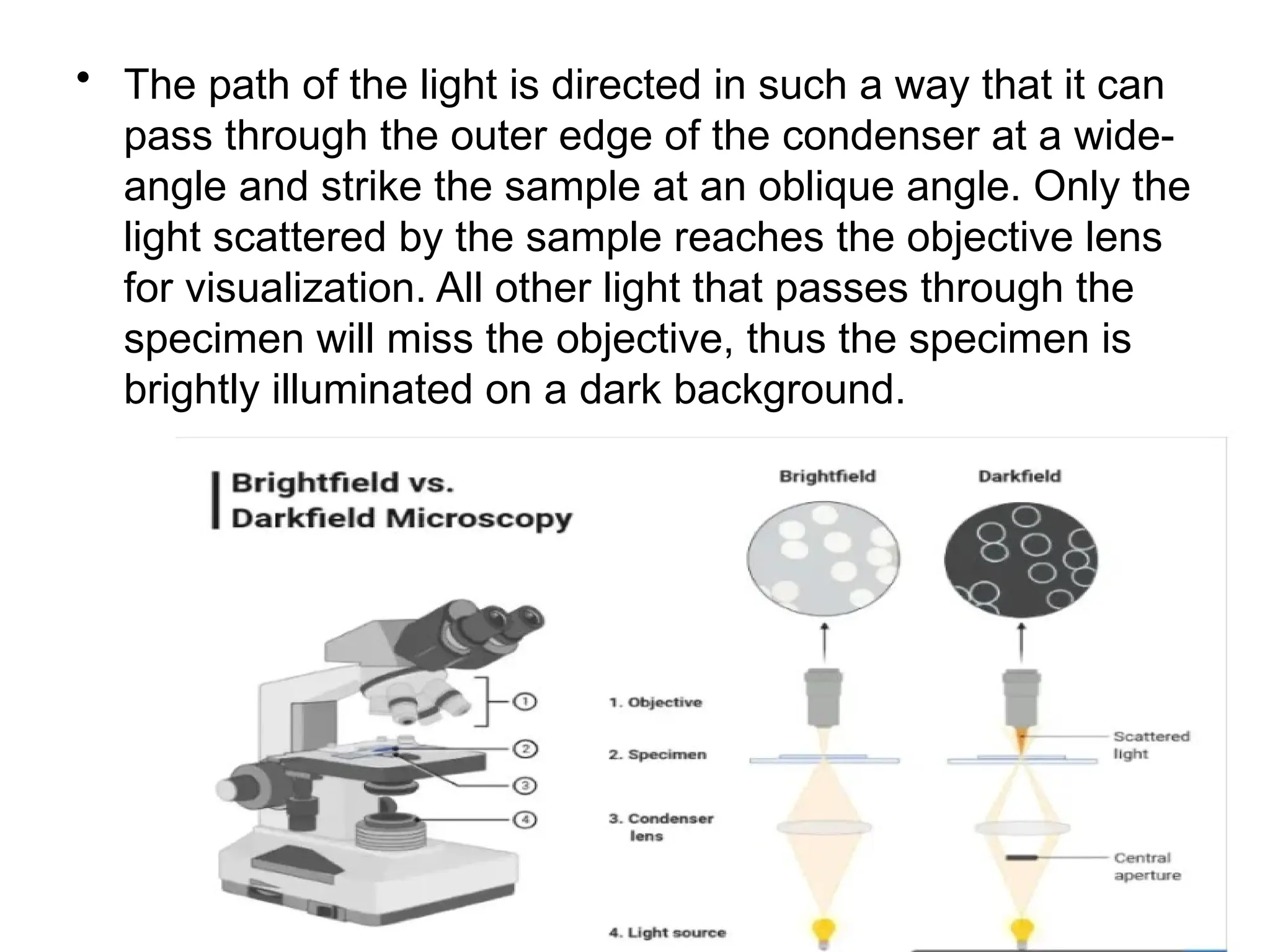 Dark field microscopy by Toni blair Lidiya.pptx