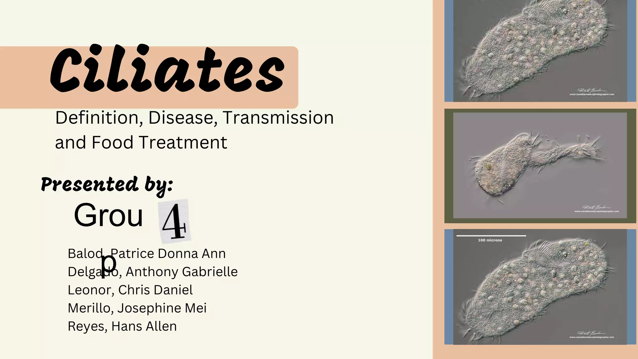 Ciliates Study | PPTX