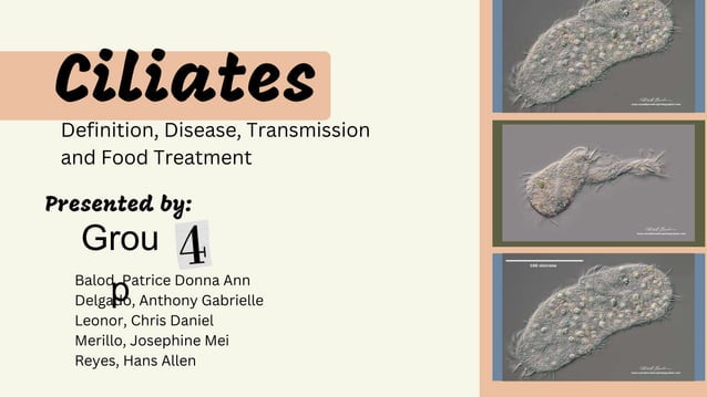 Ciliates Study | PPT