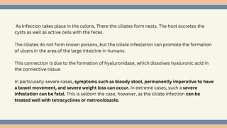 Ciliates Study | PPT