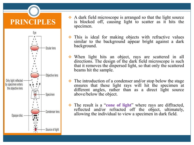 DARK FIELD MICROSCOPY | PPTX
