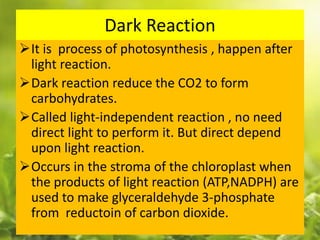 Dark reaction | PDF