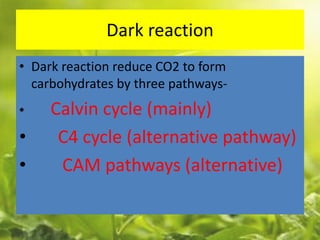 Dark reaction | PDF