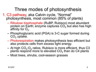Dark reaction-C3-C4-CAM-partways.pptx | Biological Sciences | Science