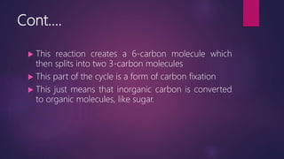 Dark reaction by sohail | PPTX
