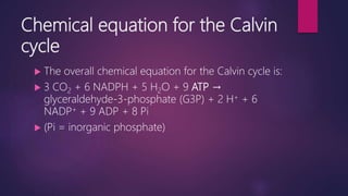 Dark Reaction Equation