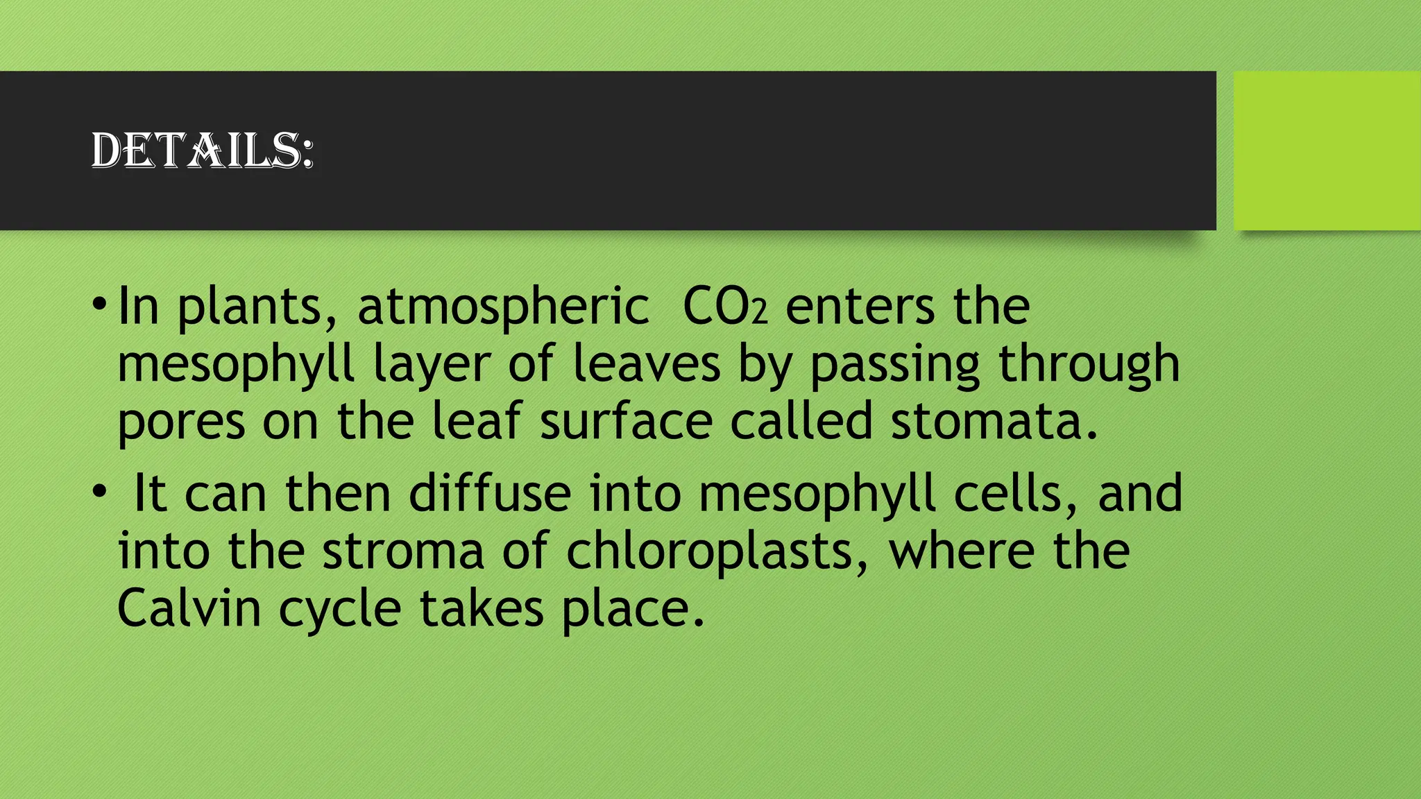 Dark reactions in plants and steps of it's cycle | PPT
