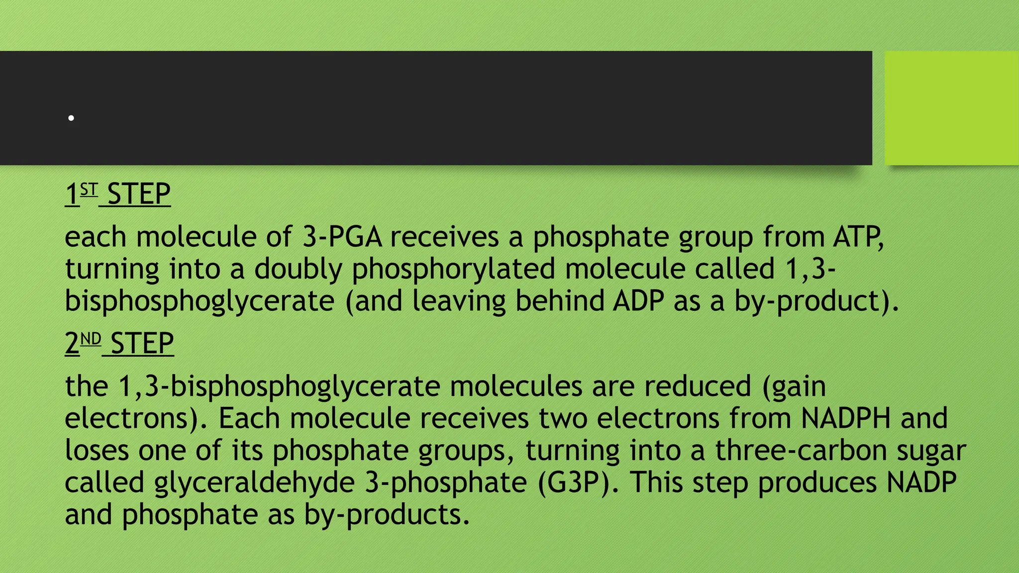 Dark reactions in plants and steps of it's cycle | PPT